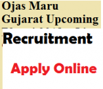 OJAS Gujarat Bharti 2020 Latest OJAS Maru Gujarat Recruitment - Total ...